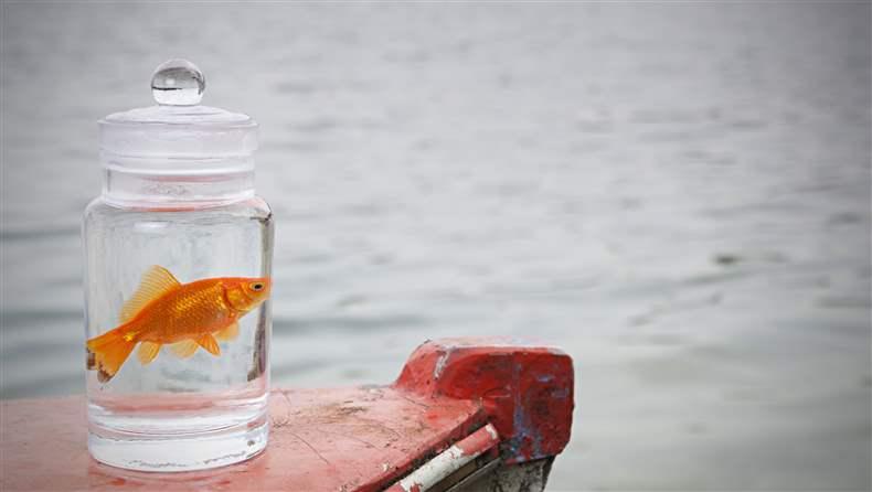 What to Do When You Feel Stuck