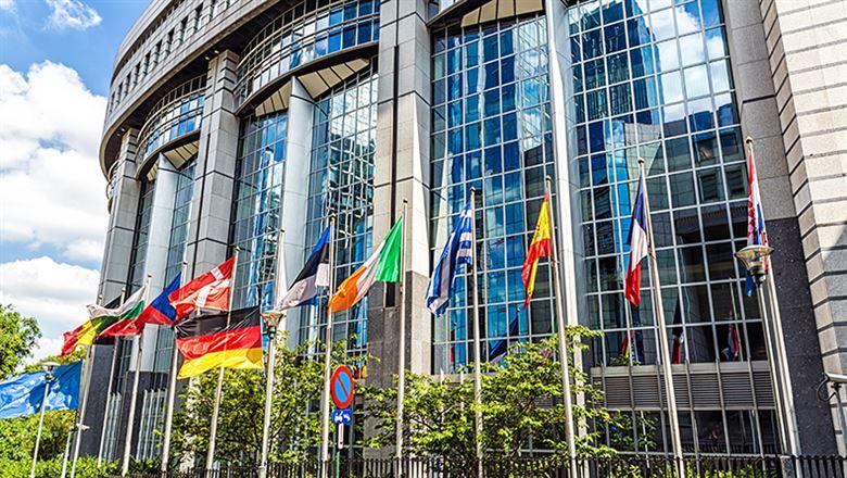 Fundamentals of Global Government Relations